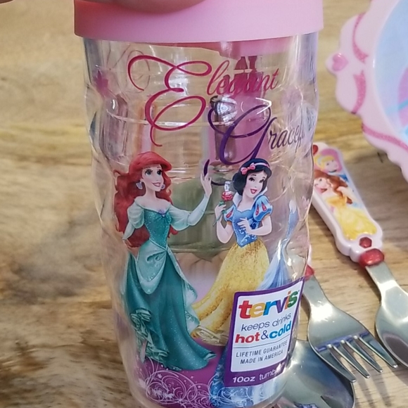 tervis | Toys | Disney Princess Tervis Set | Poshmark